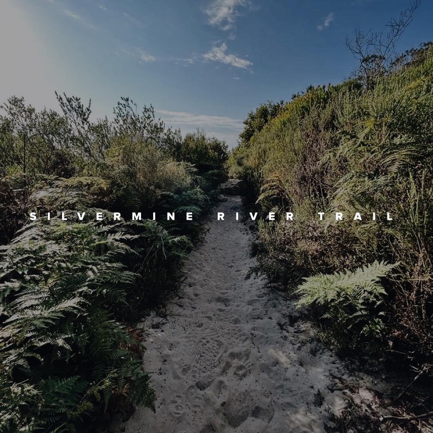 WILD GUIDE > SILVERMINE RIVER TRAIL – The Wild Within